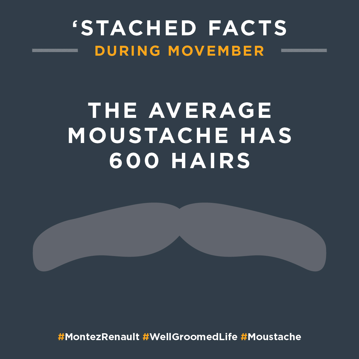 Montez Renault Movember | Ethic